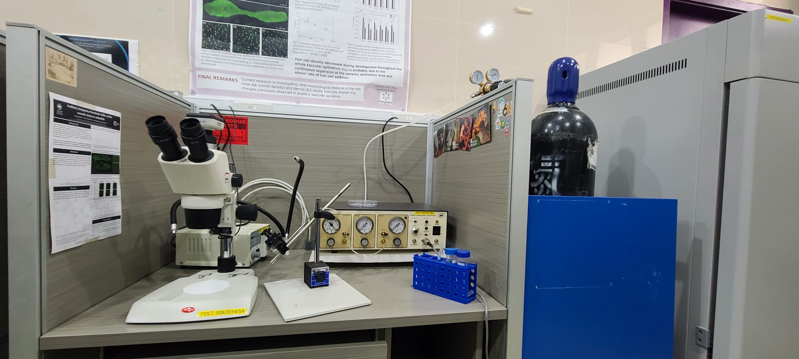 Pneumatic microinjector with vacuum pressure system – INSTITUTE OF ...