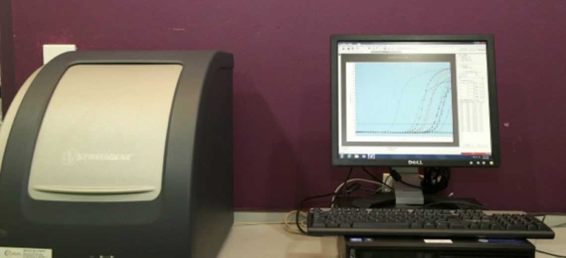 Real time PCR machine – INSTITUTE OF SCIENCE AND ENVIRONMENT